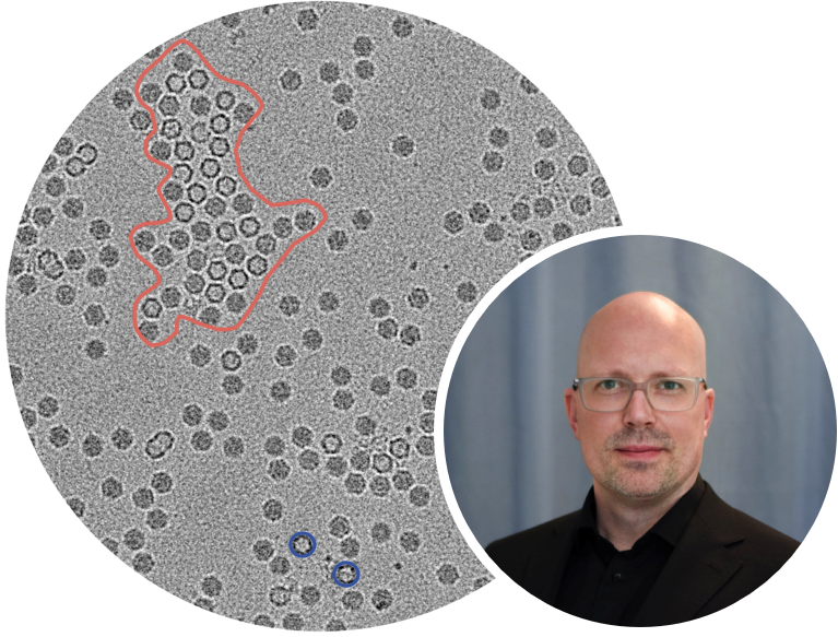 Webinar - A new approach to AAV aggregation analysis - Qutem